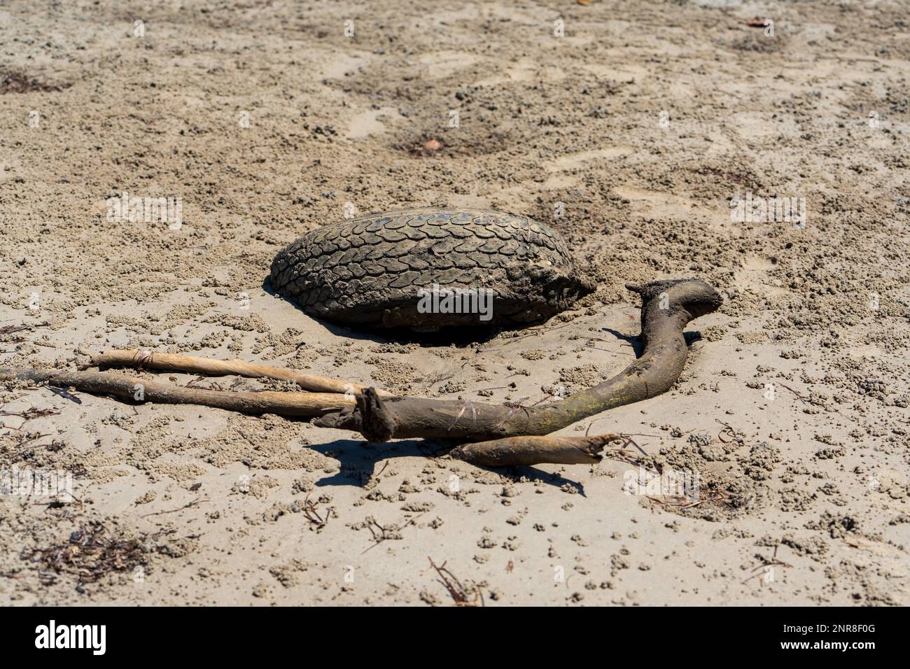 Car buried in mud hi-res stock photography and images - Alamy
