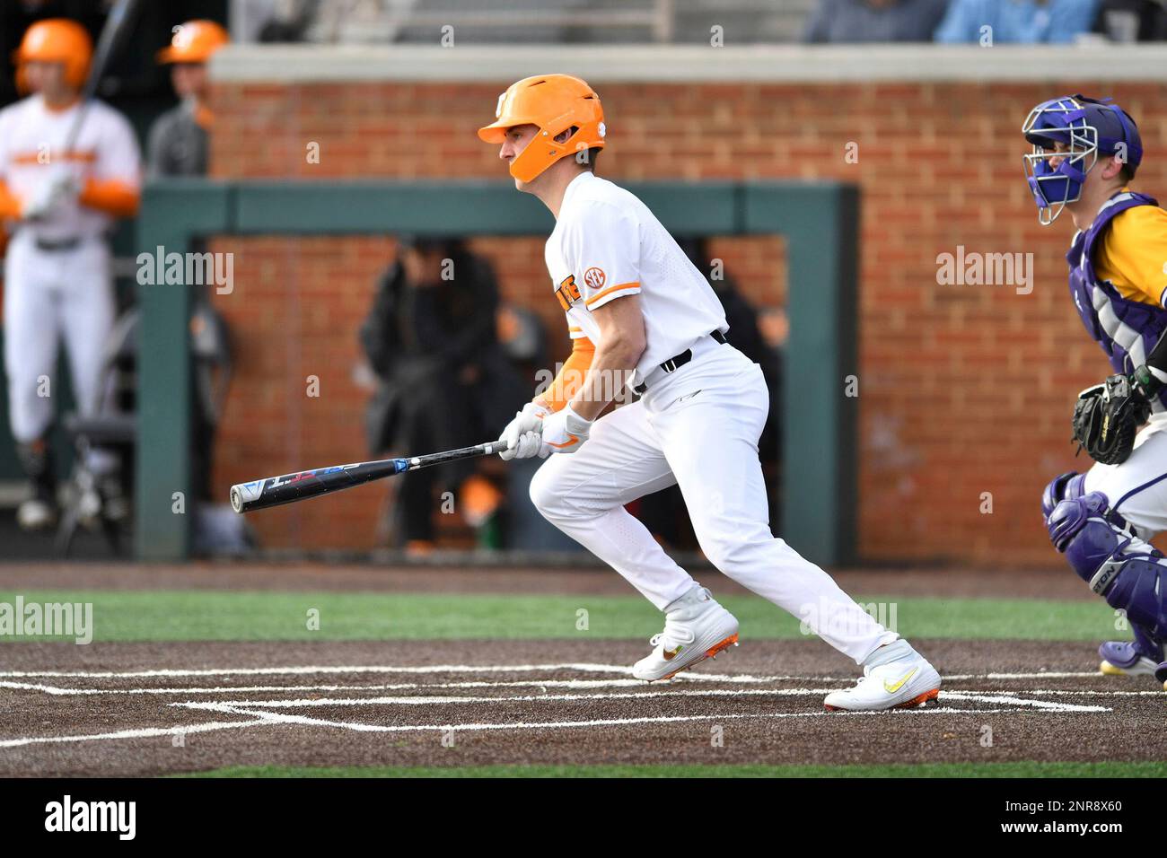 University of Tennessee Evan Russell (6) swings at a pitch during a ...