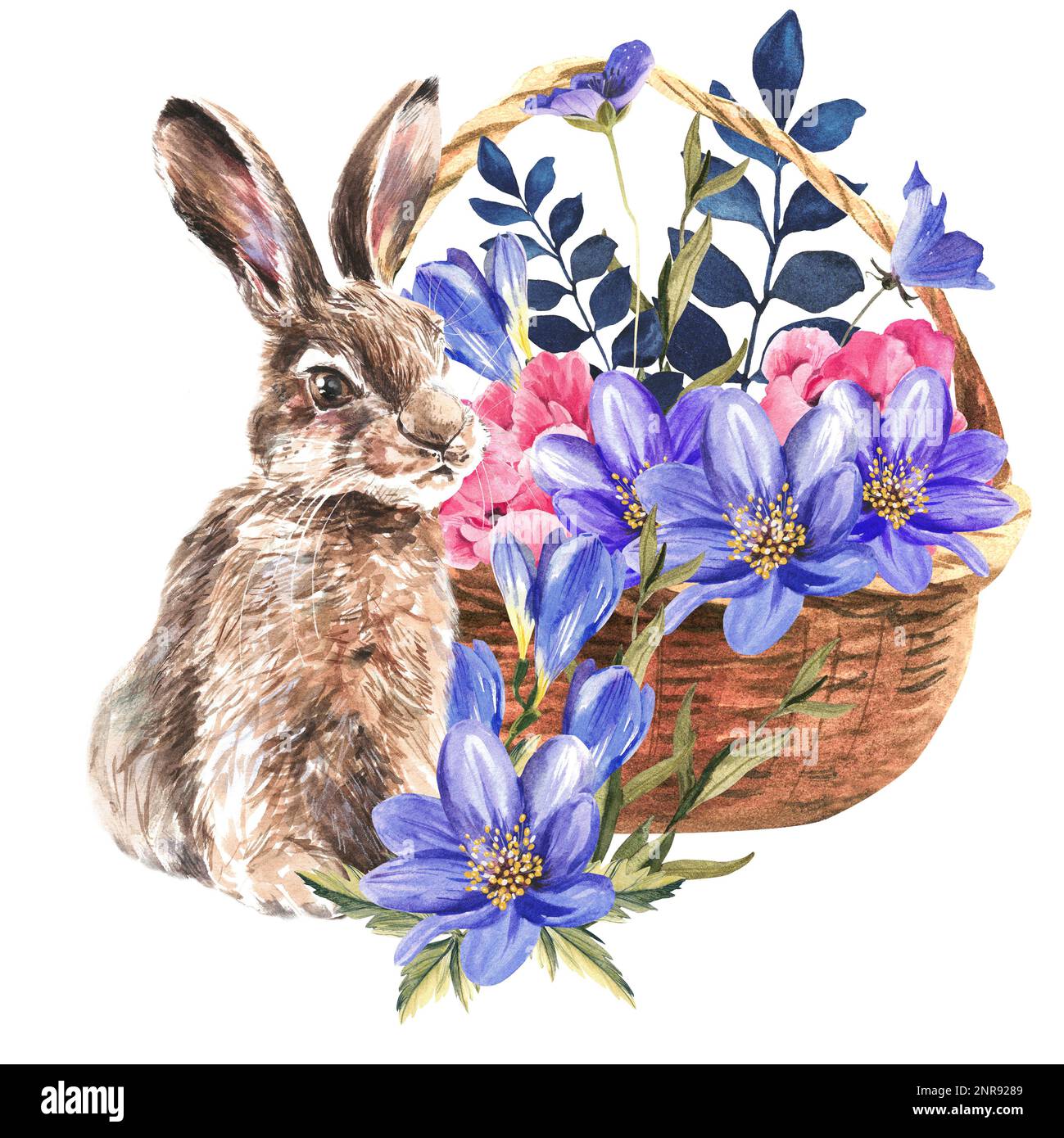 Drawn rabbit, basket and flowers on a white background. Isolate ...
