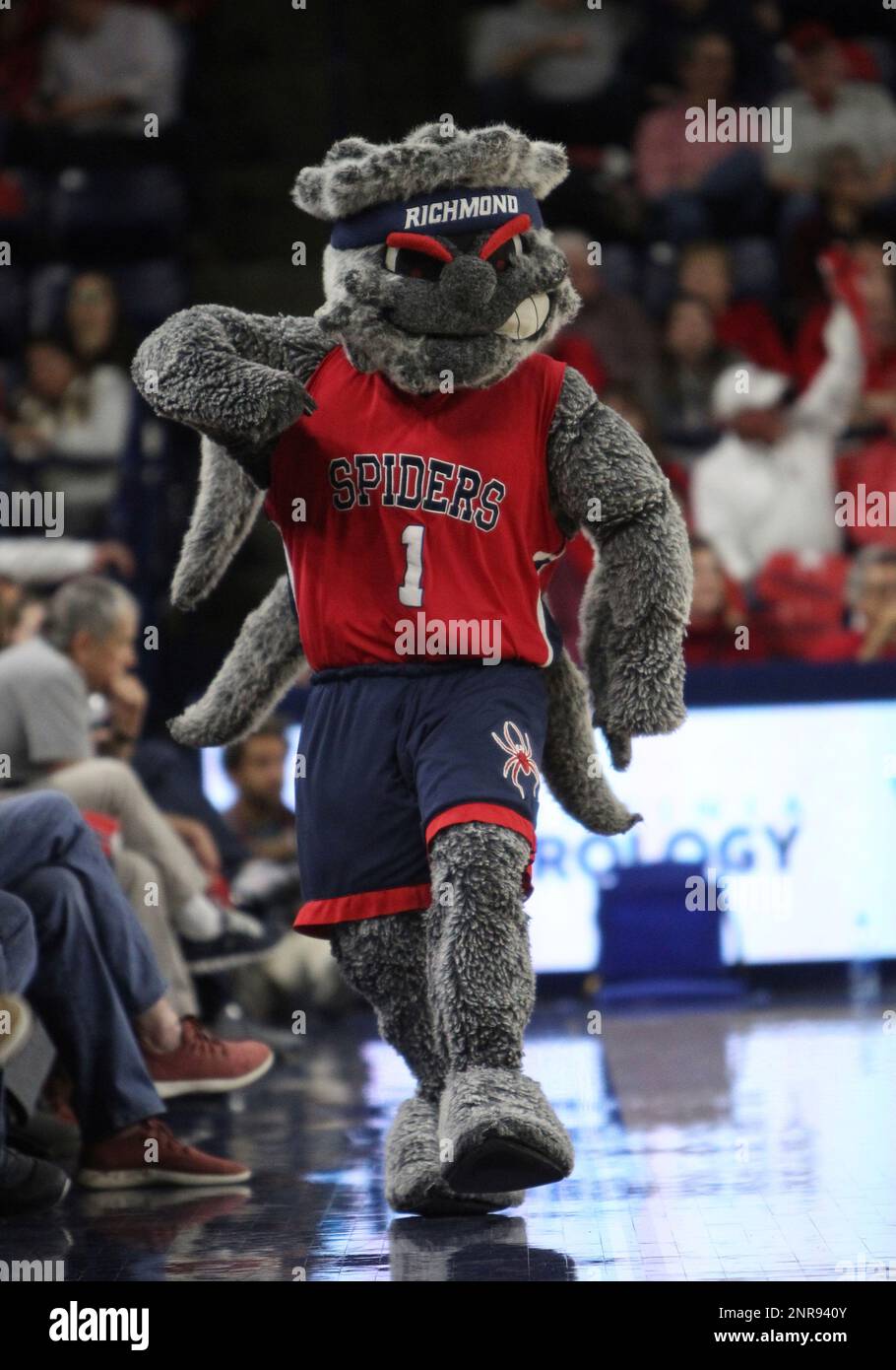 RICHMOND, VA - FEBRUARY 15: Richmond Spiders mascot during the game ...