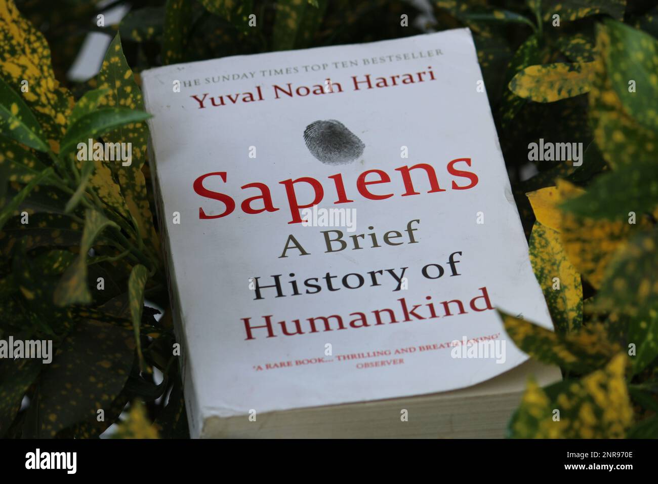 Sapiens yuval noah harari cover hi-res stock photography and images - Alamy