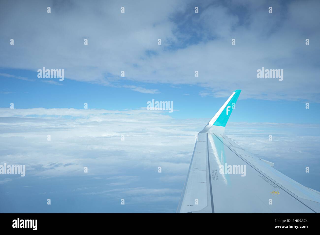 Airplane wing background ,FlyNas logo airline on the airplane wing ...