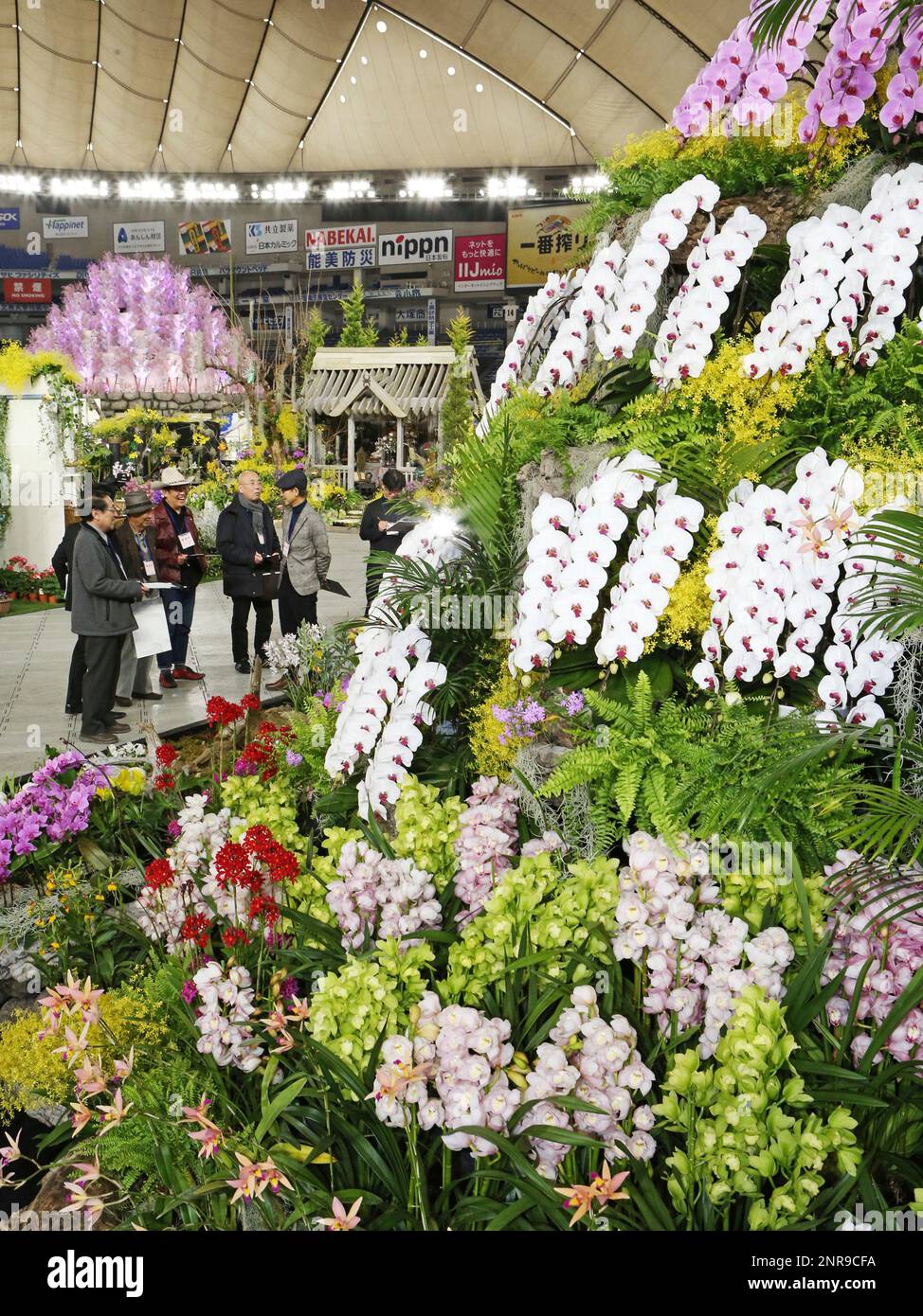 A photo shows Japan Grand Prix International Orchid and Flower Show at ...