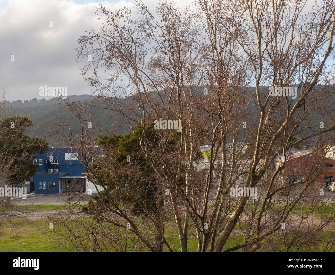 Vacant Land Through The Trees Stock Photo - Alamy