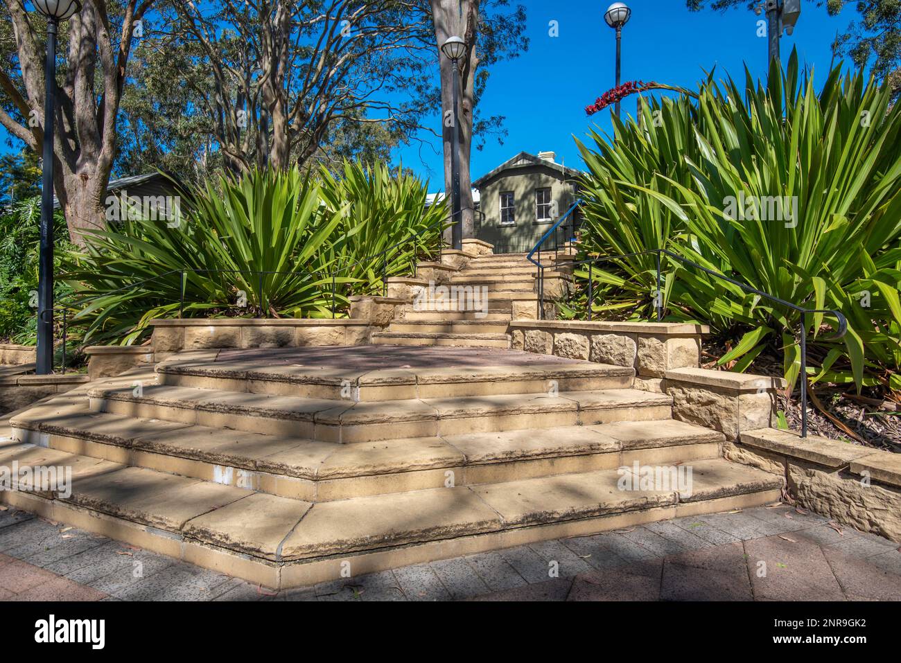 Wyong town park hi-res stock photography and images - Alamy