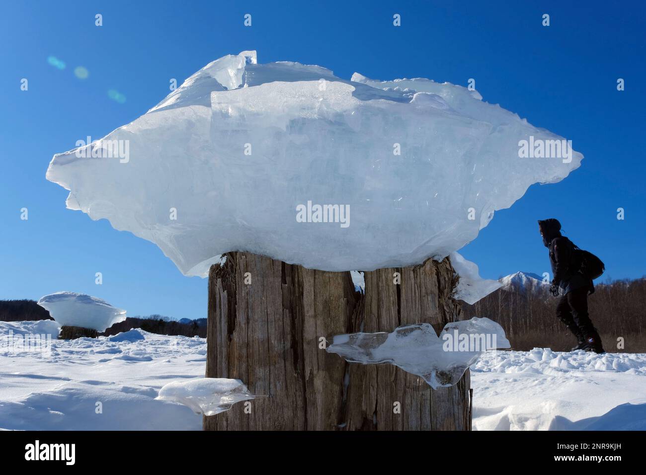 Kinoko Kori, mushroom shaped ice, is pictured on a man-made frozen lake ...