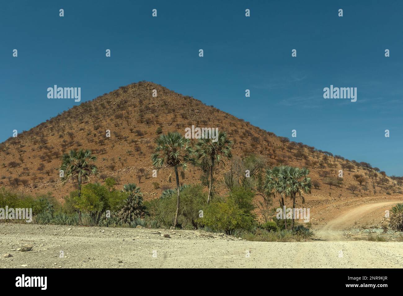The dusty gravel road along the Kunene River in northern Namibia Stock ...