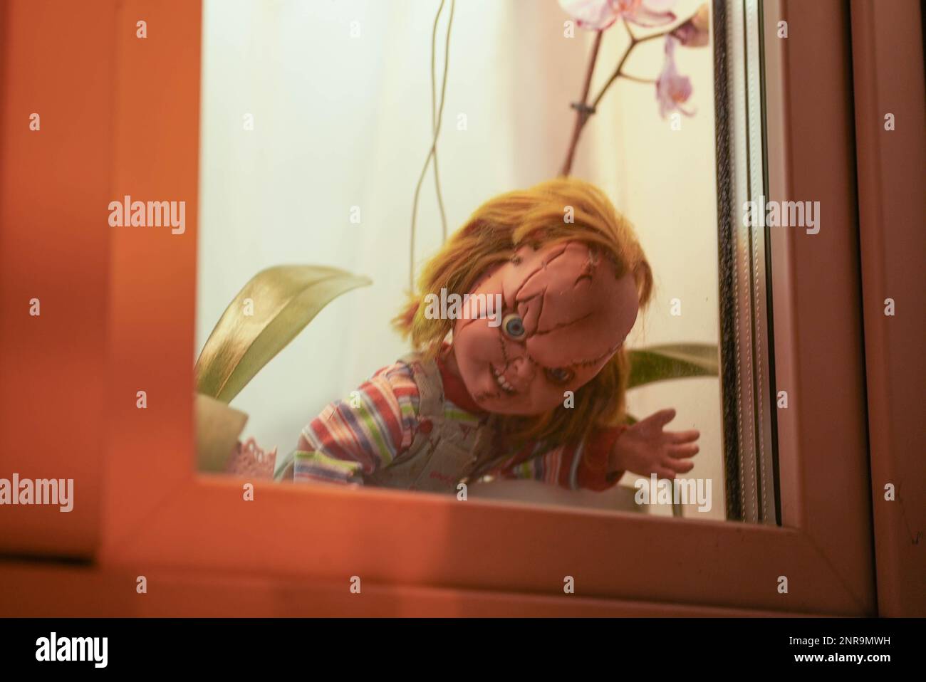 Chucky doll looking out the window in a scary way Stock Photo - Alamy
