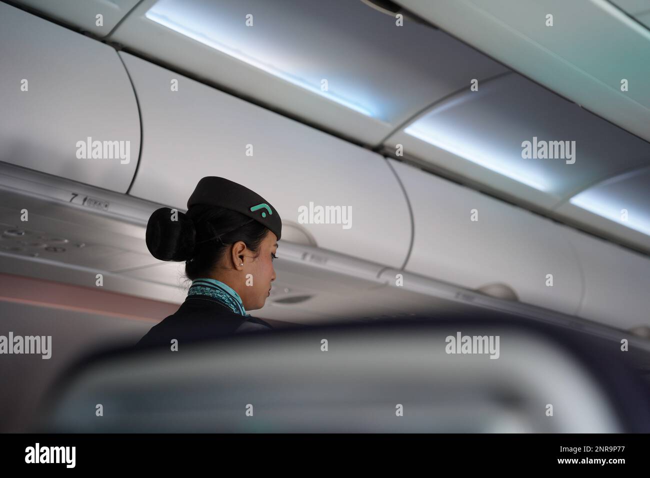 Flynass flight attendant or crew, a woman working on the airplane ...