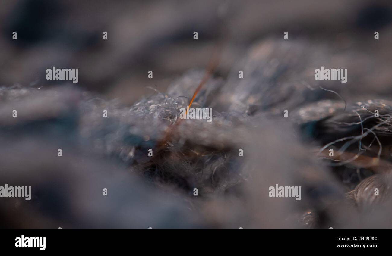Hair examples hi-res stock photography and images - Alamy