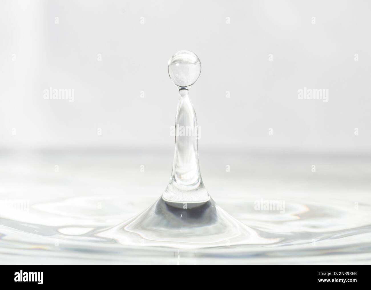 Transparent water drop hi-res stock photography and images - Alamy