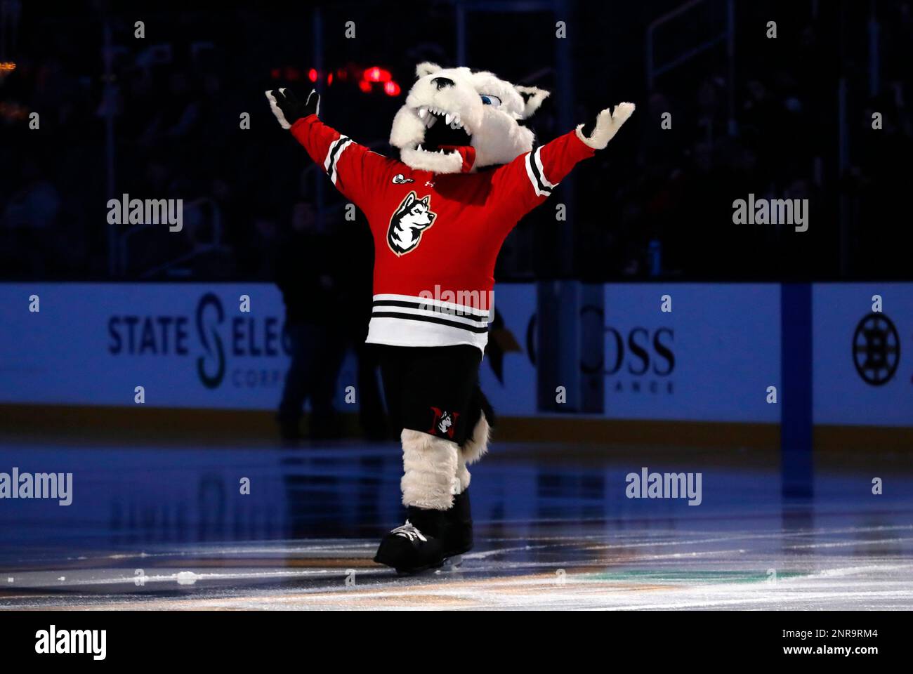 Harvard Crimson Mascot