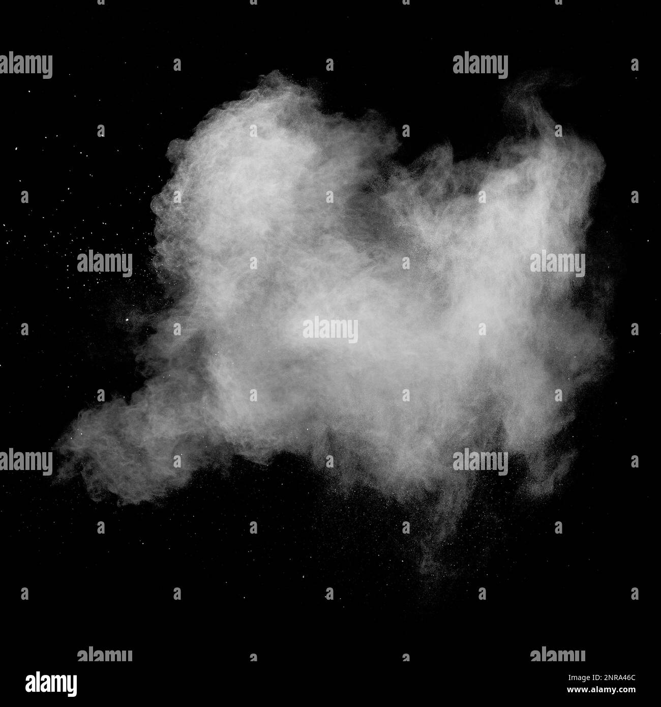 White talcume powder explosion on black background. White dust ...