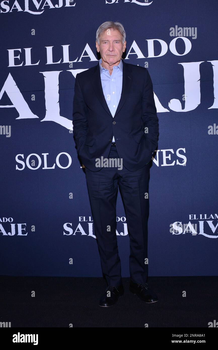 Photo by: CT/EPX/STAR MAX/IPx 2/5/20 Harrison Ford at a press ...