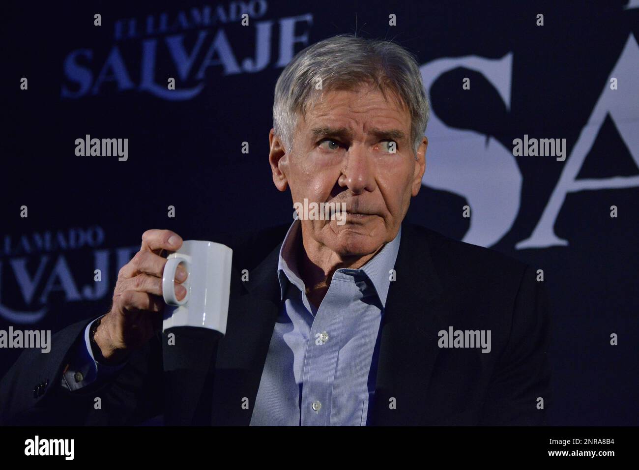 Photo by: CT/EPX/STAR MAX/IPx 2/5/20 Harrison Ford at a press ...