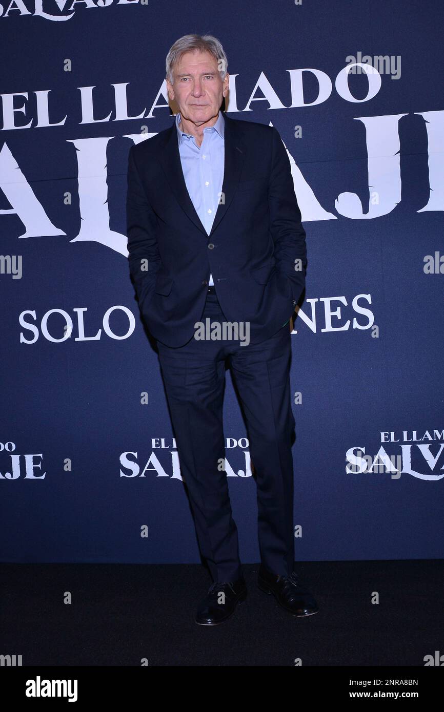 Photo by: CT/EPX/STAR MAX/IPx 2/5/20 Harrison Ford at a press ...