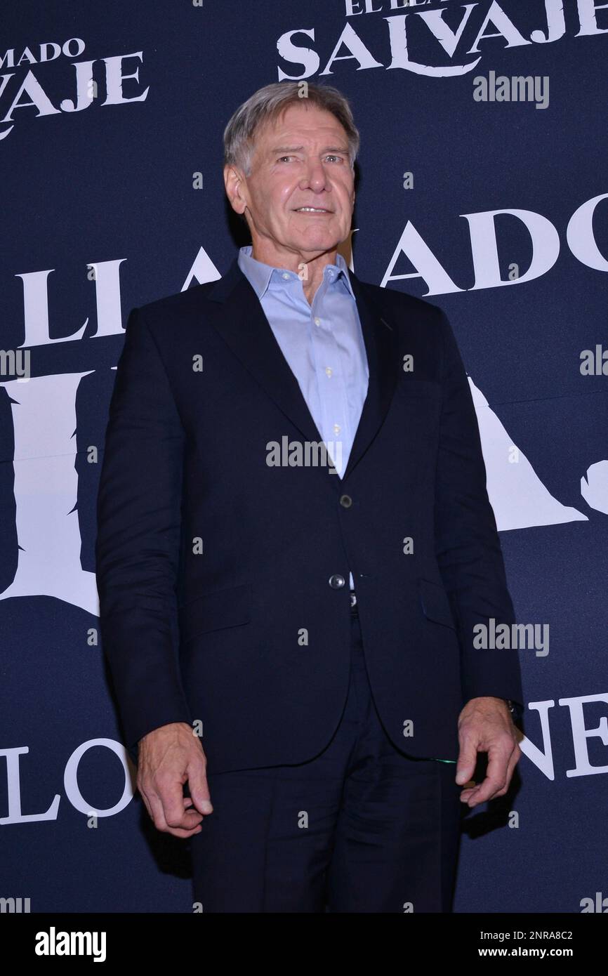 Photo by: CT/EPX/STAR MAX/IPx 2/5/20 Harrison Ford at a press ...
