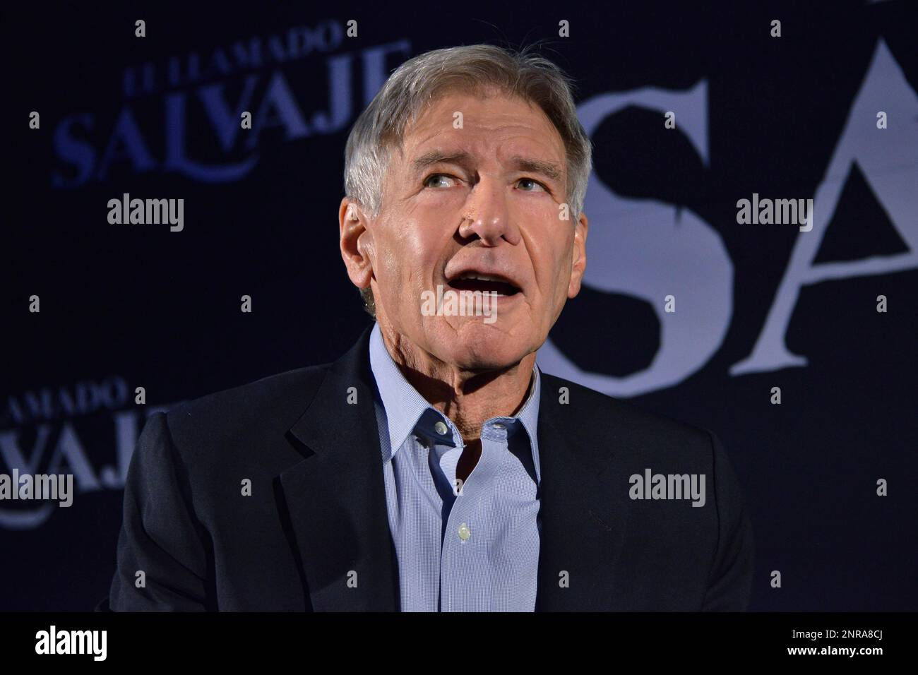 Photo by: CT/EPX/STAR MAX/IPx 2/5/20 Harrison Ford at a press ...