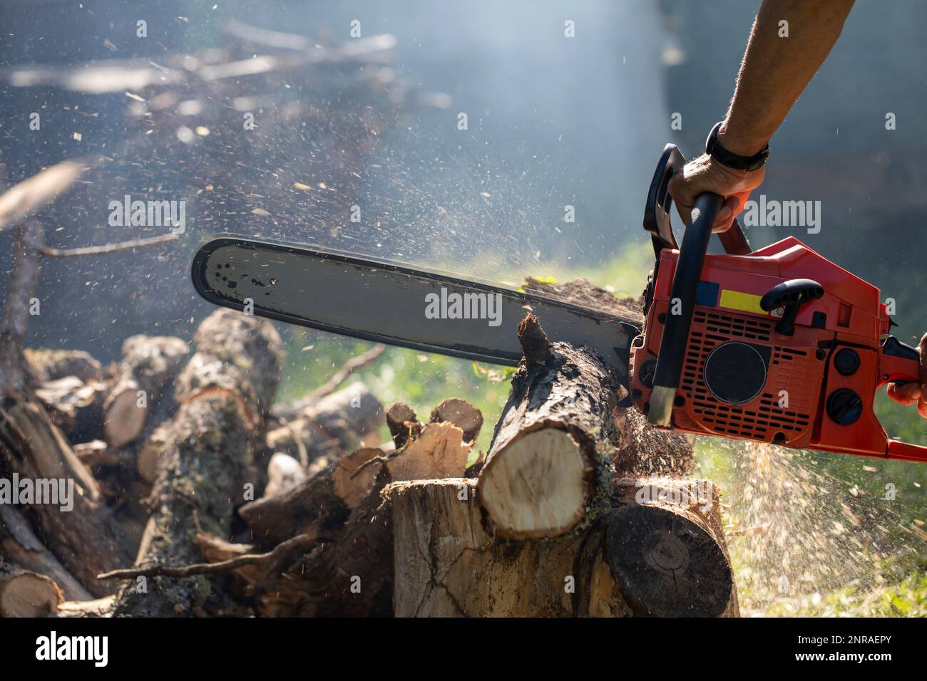 Chainsaw. Close-up of woodcutter sawing chain saw in motion Stock Photo ...