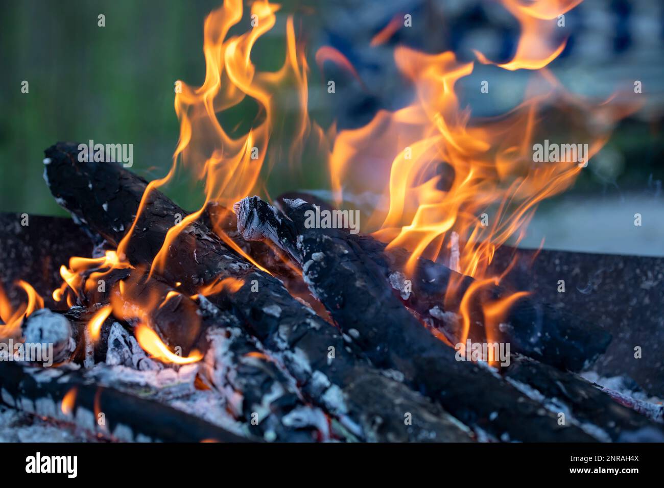 Bonfire in the evening.Wood burning, abstract flame background Stock ...