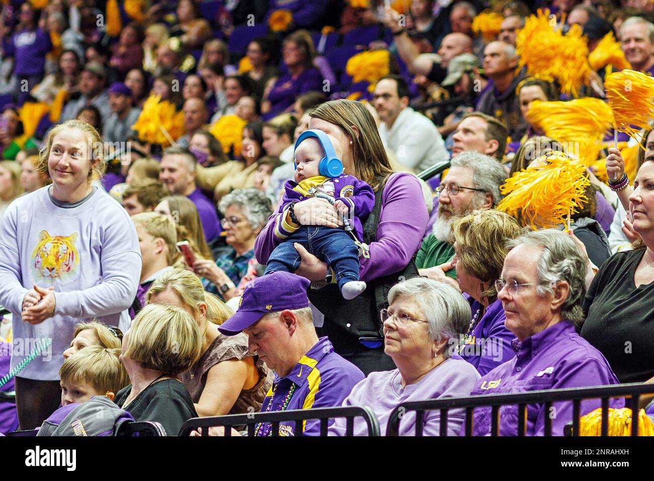 BATON ROUGE, LA - FEBRUARY 17: LSU Tigers fans cheer from the stands ...
