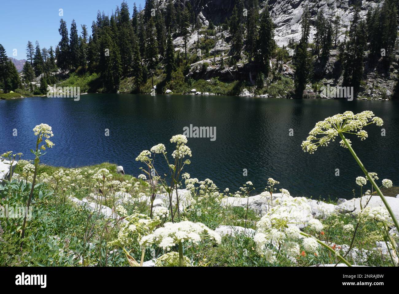 Trinity alp wilderness hi-res stock photography and images - Alamy