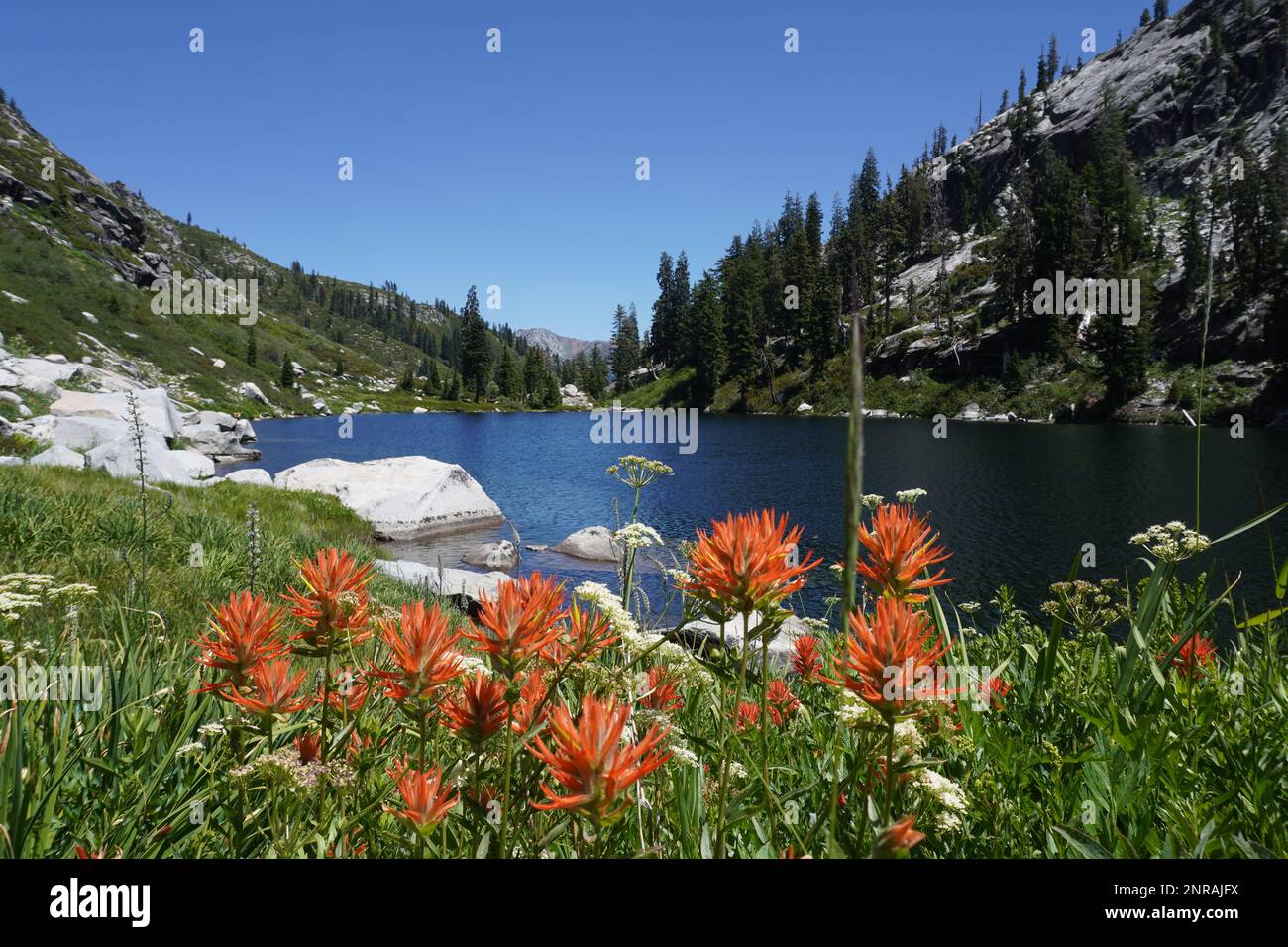 Beautiful alpine lake in Trinity Alp Wilderness surrounded by granite ...
