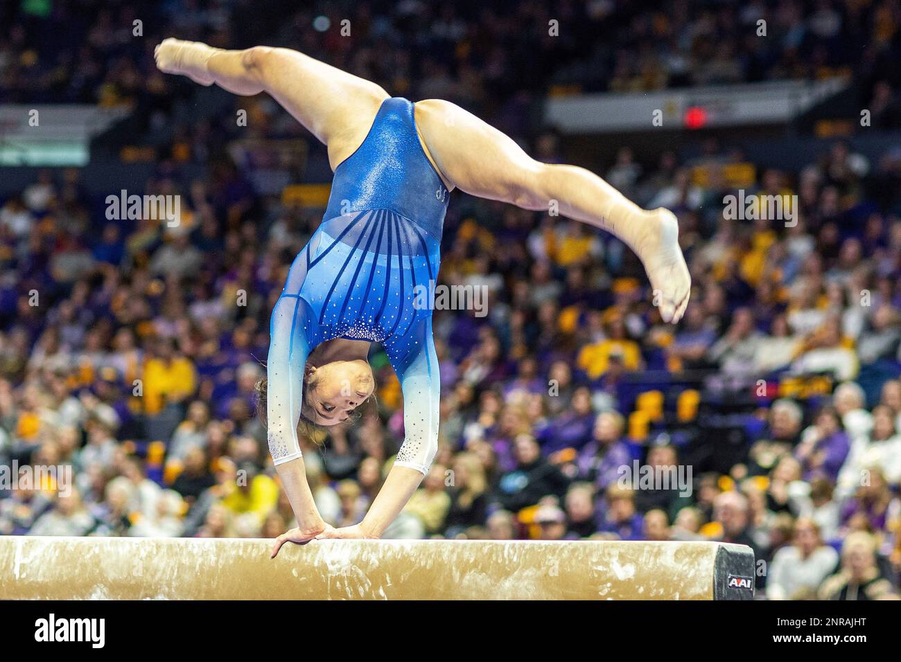 BATON ROUGE, LA - FEBRUARY 17: Florida Gators gymnast Victoria Nguyen ...