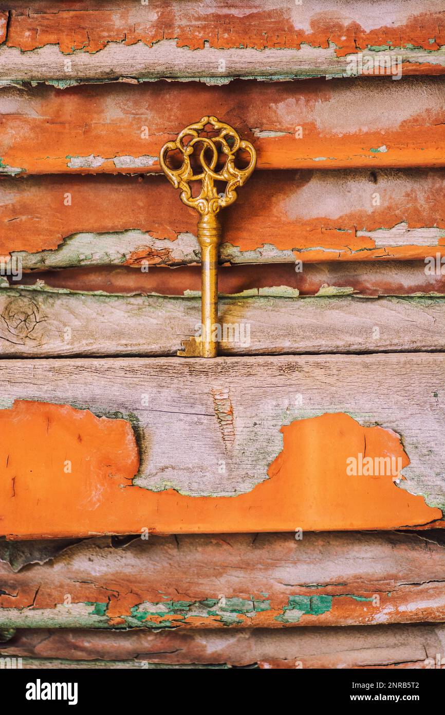 Mystery and decay hi-res stock photography and images - Alamy