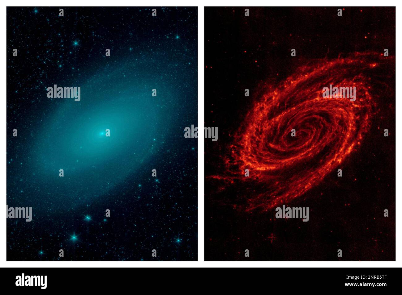 Two Different Galaxies