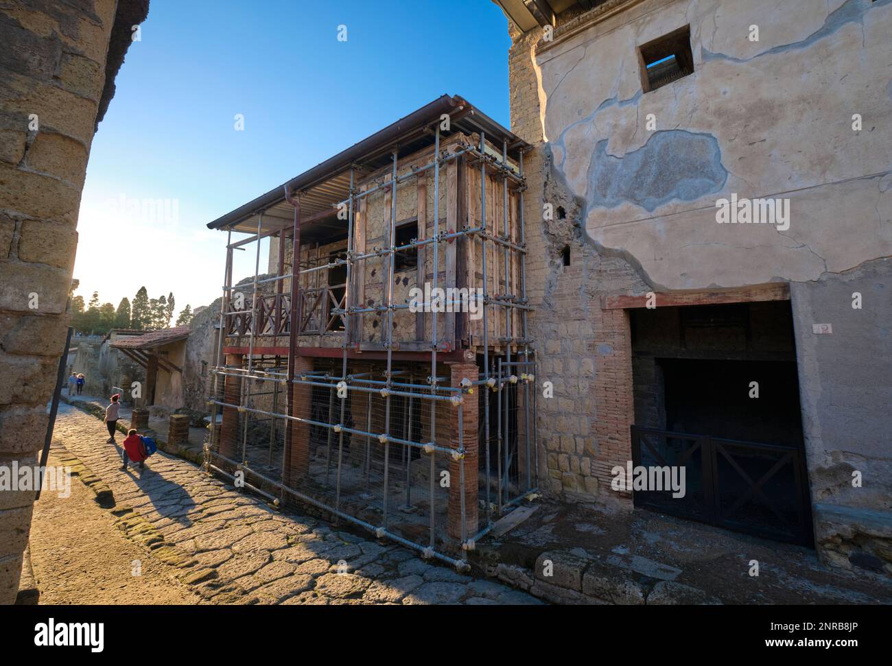 Scaffolding covers the exterior of the Trellis House. At the Roman ruin ...