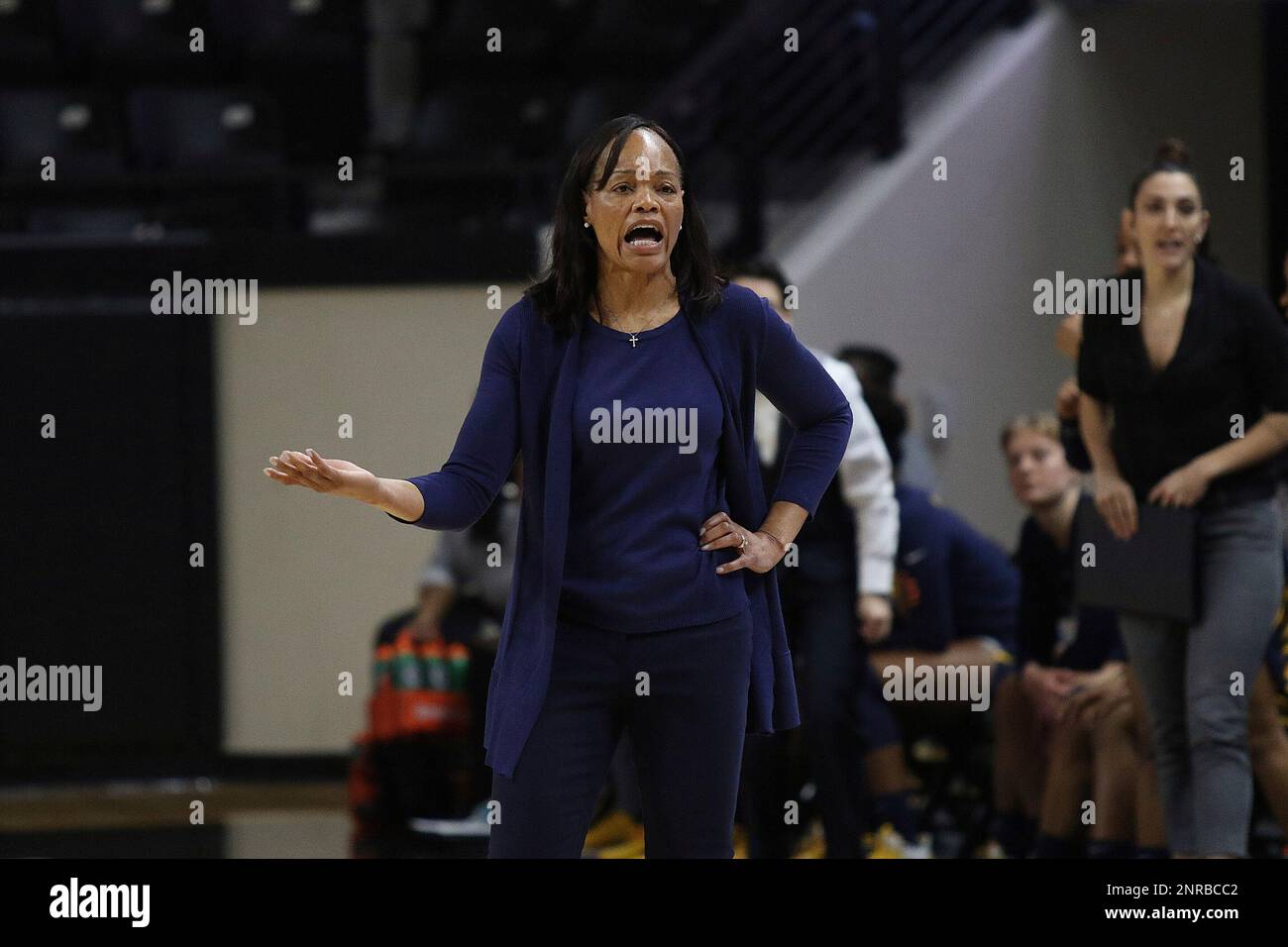 SPARTANBURG, SC - JANUARY 25: Trina Patterson head coach of UNCG during ...