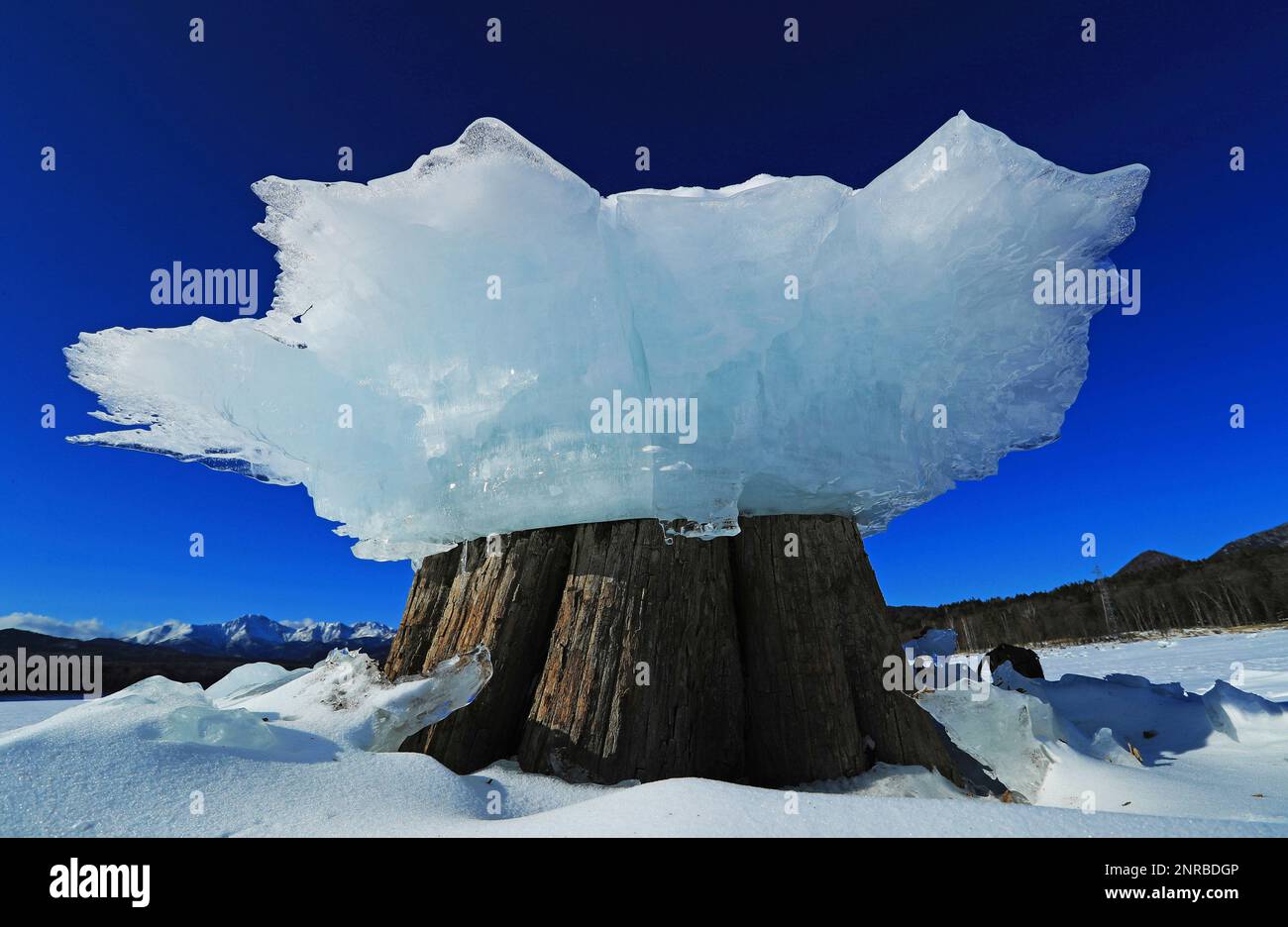 Kinoko Kori, mushroom shaped ice, is pictured on a man-made frozen lake ...