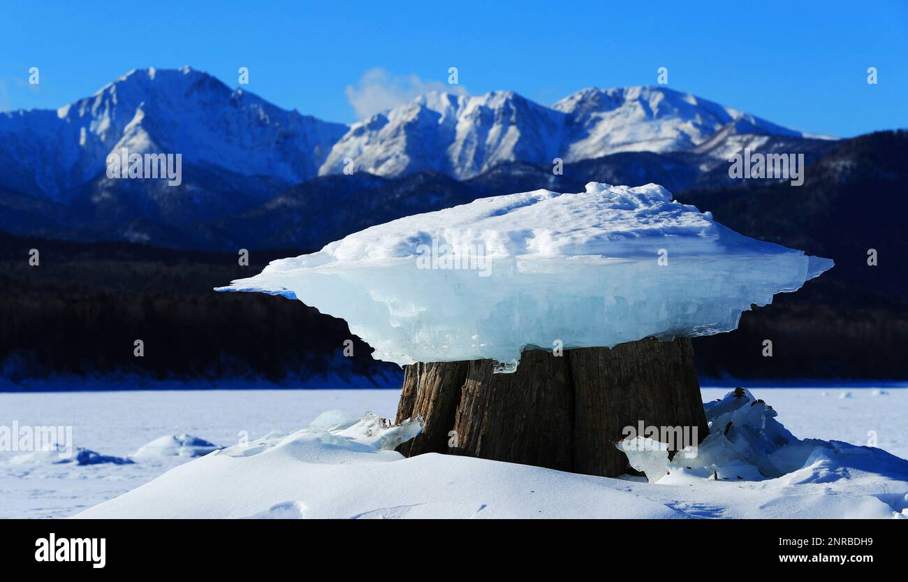 Kinoko Kori, mushroom shaped ice, is pictured on a man-made frozen lake ...