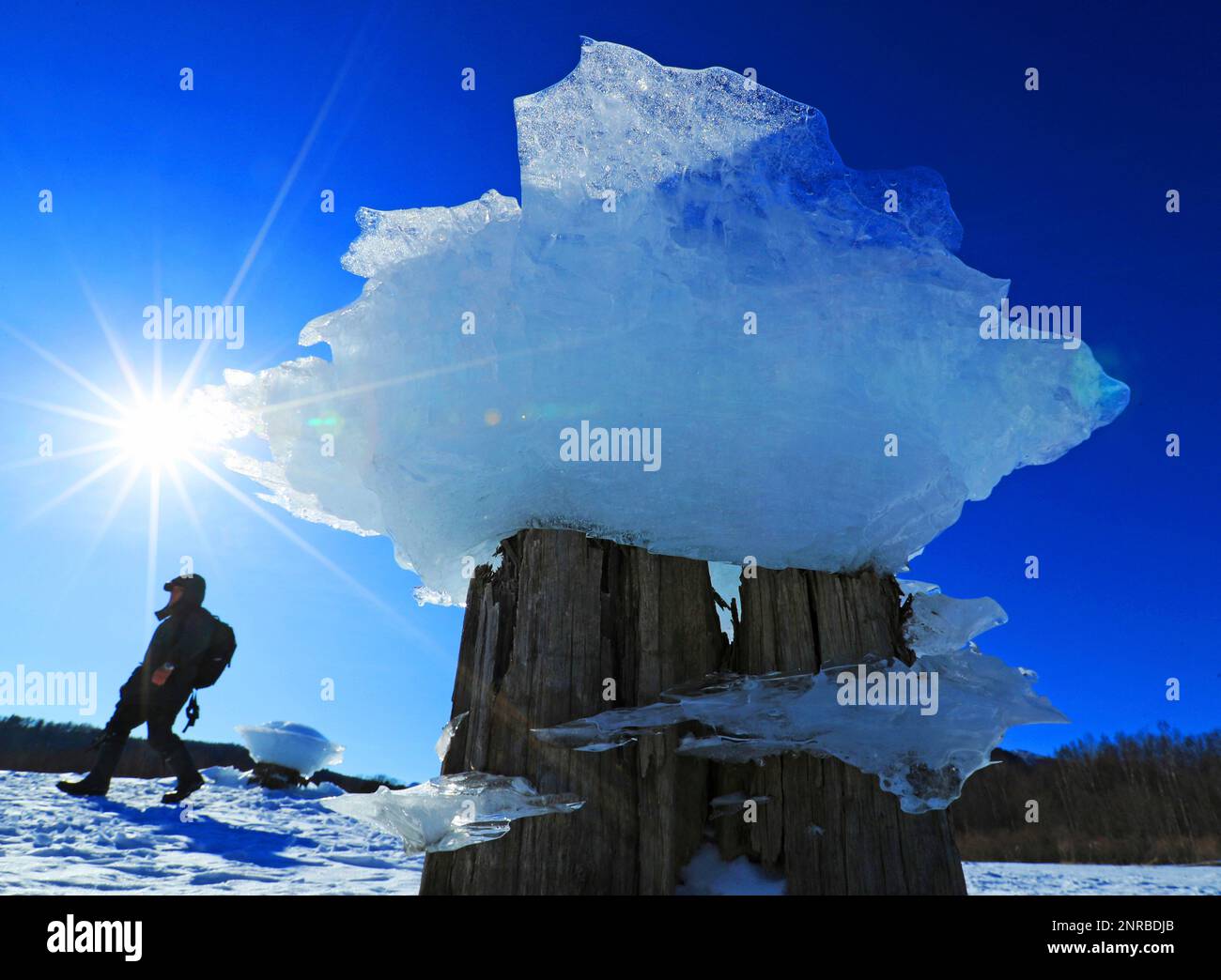 Kinoko Kori, mushroom shaped ice, is pictured on a man-made frozen lake ...