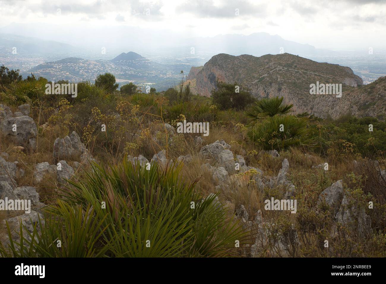 View of Montgó mountain in Spain with its cliffy, green surroundings ...