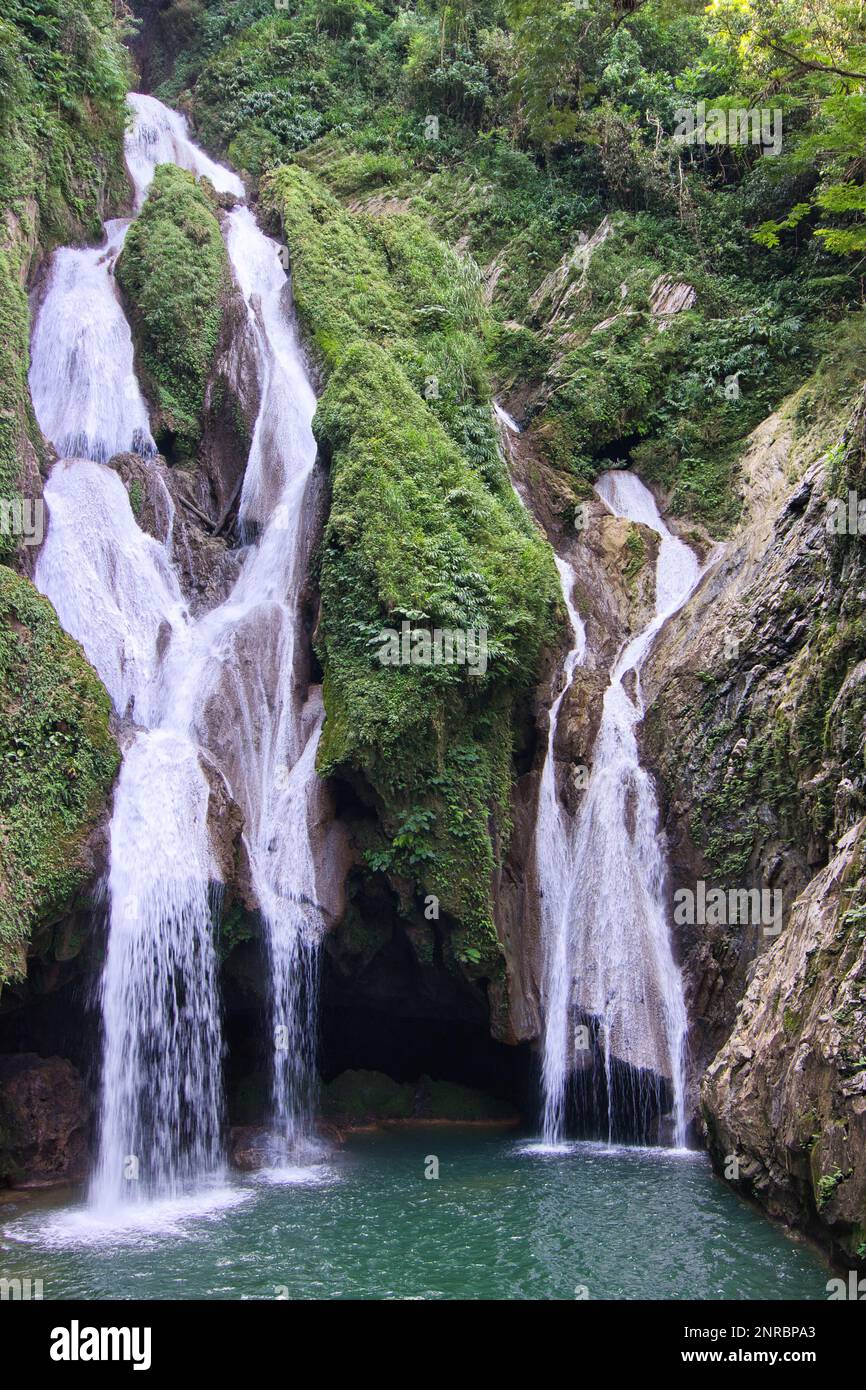 Tropical waterfall in the middle of the jungle with two streams flowing ...