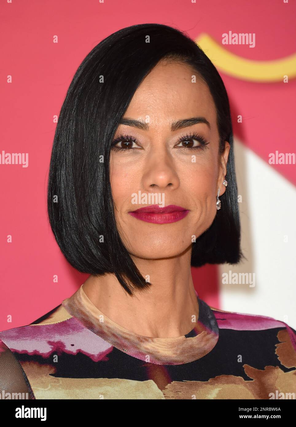 Daya Vaidya arriving to the 54th NAACP Image Awards held at the ...