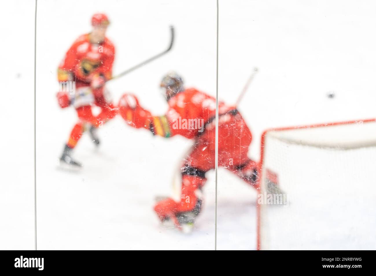 blurred view through protective glass. hockey player on the ice surface ...