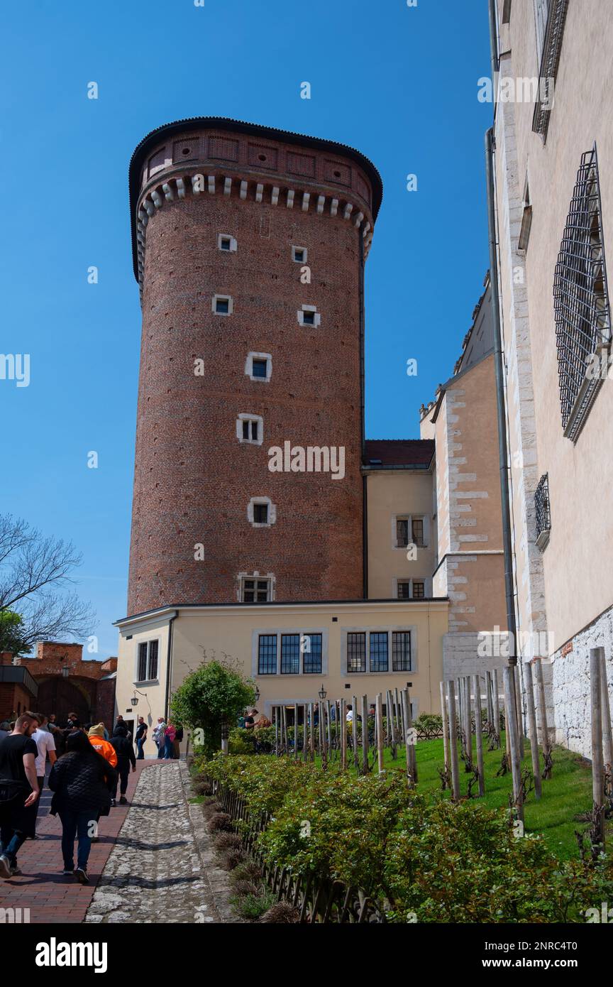 Senatorska Tower (Senator's residence) at the Krakow Wawel Hill Royal ...