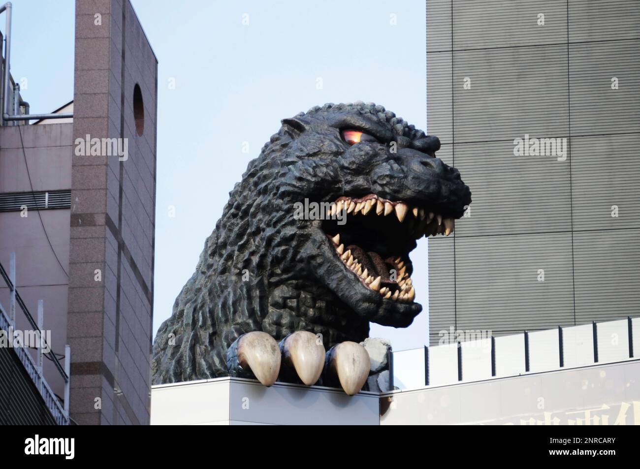 A life-sized Godzilla appears at Kabukichō in Shinjuku Ward, Tokyo on ...