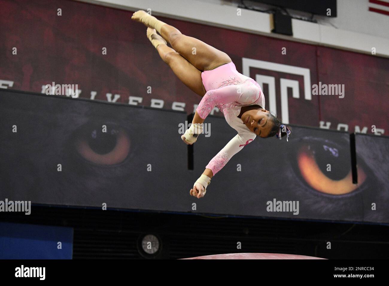 January 18, 2020, Philadelphia, Pennsylvania, U.S: Temple Owls gymnast ...