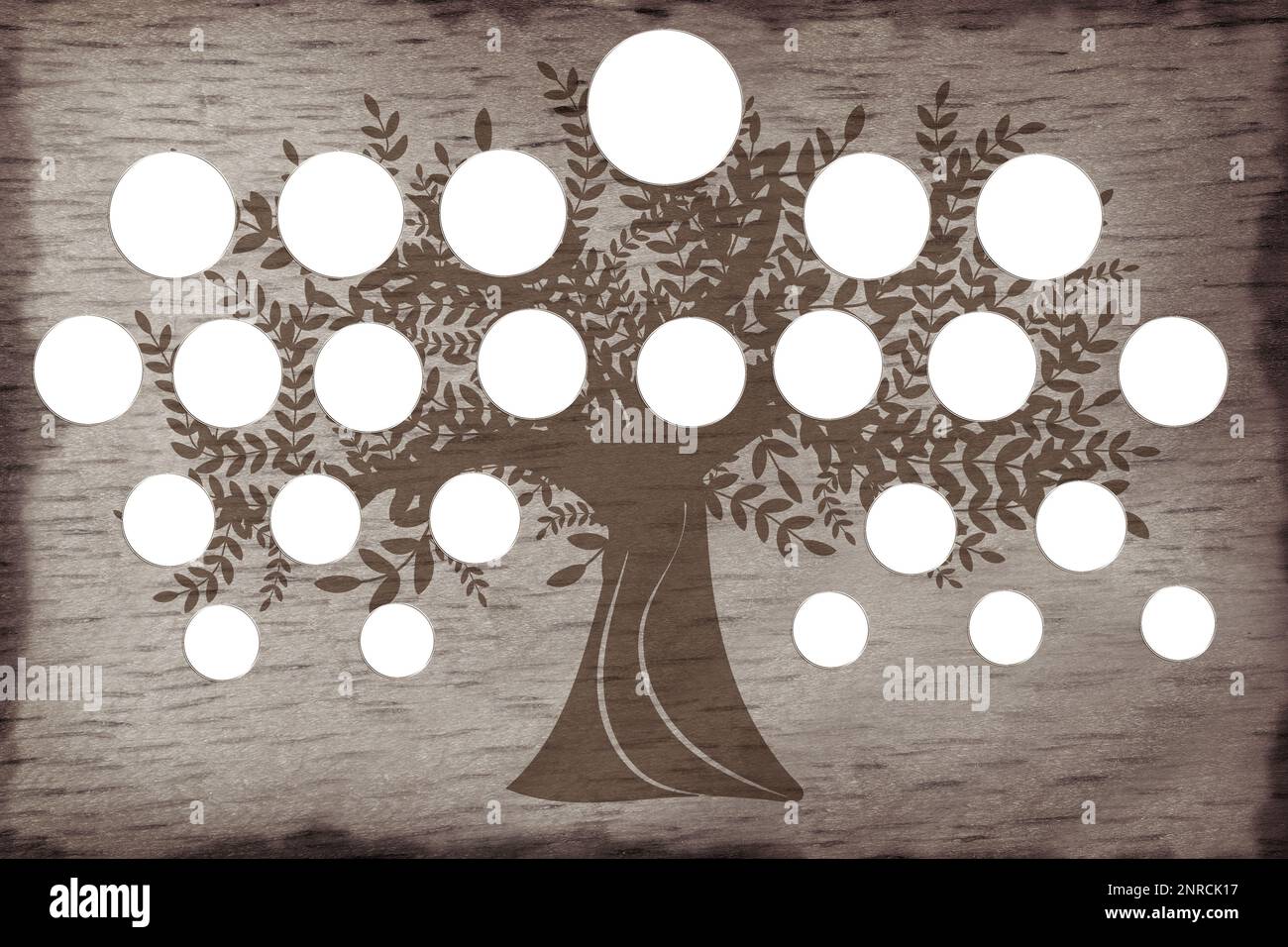 Family tree with empty frames for photos in vintage style, illustration ...
