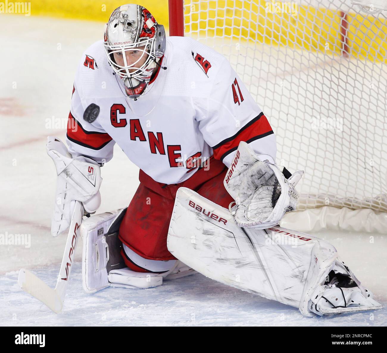 NHL profile photo on Carolina Hurricanes goalie James Reimer during a ...