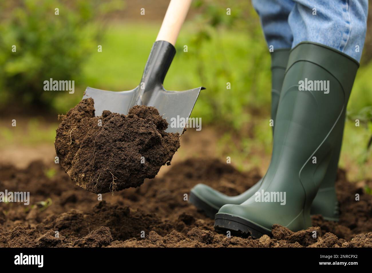 Worker digging soil with shovel outdoors, closeup. Gardening tool Stock ...