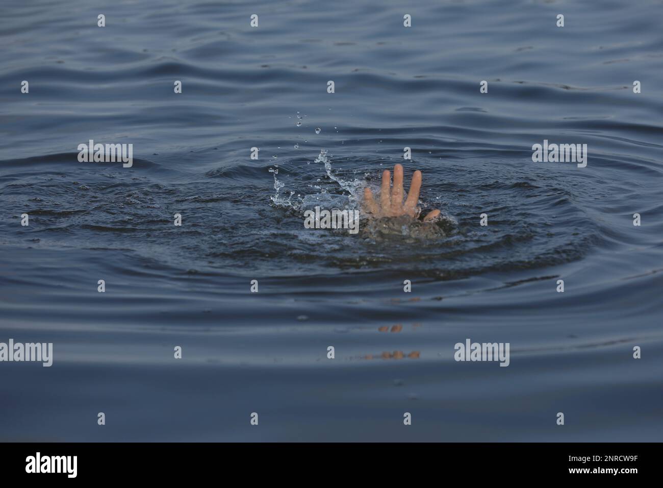 Drowning woman reaching for help in sea, closeup Stock Photo - Alamy