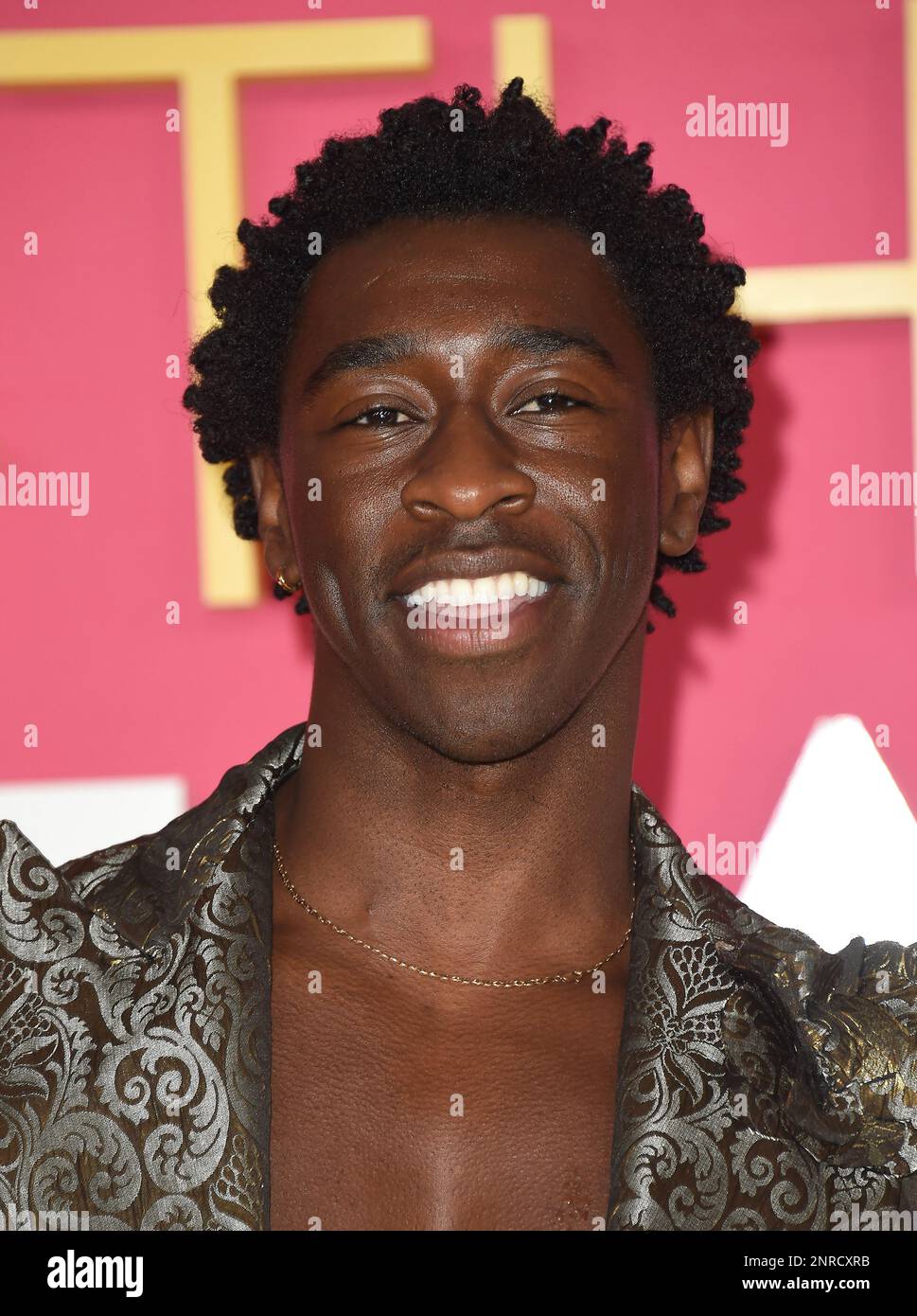 Timothy Richardson arriving to the 54th NAACP Image Awards held at the Pasadena Civic Auditorium ...