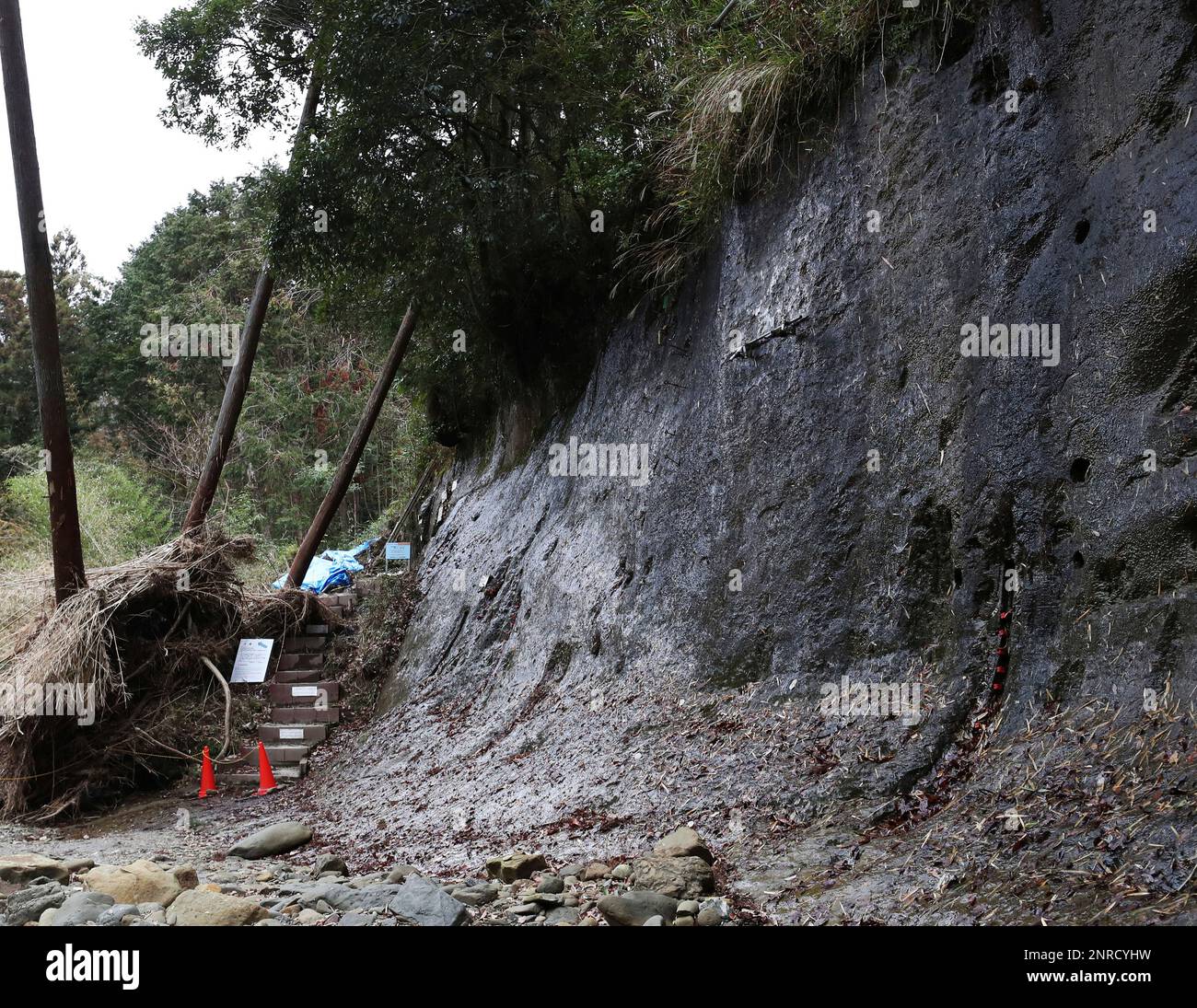 A photo shows Chiba section, geologic formation about 770,000 years ago ...