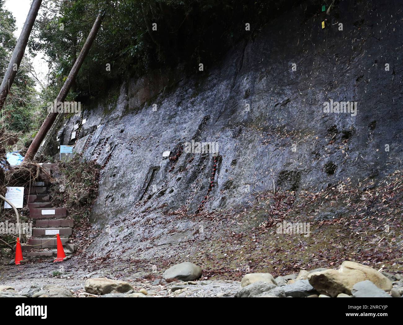 A photo shows Chiba section, geologic formation about 770,000 years ago ...