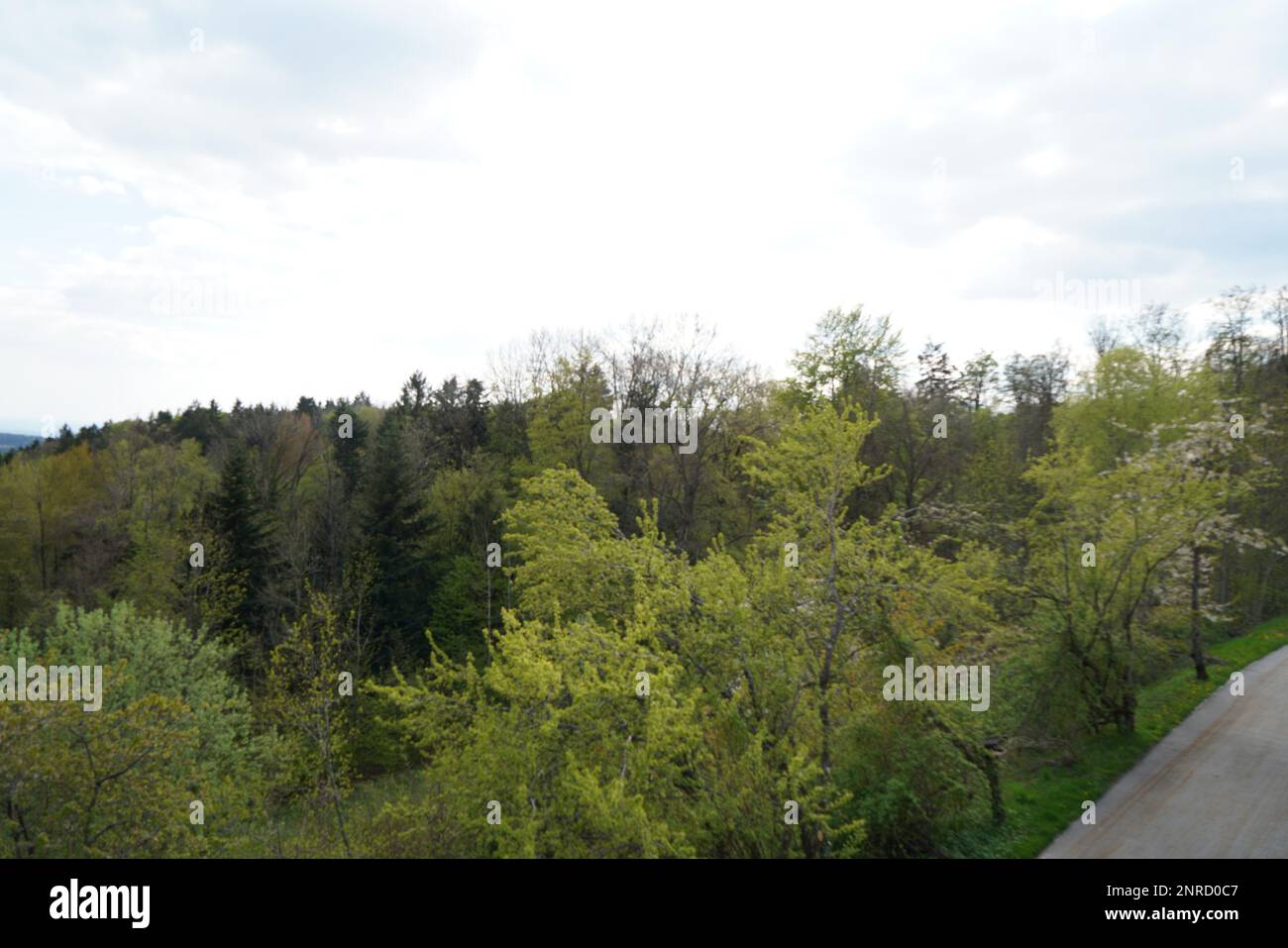 Forest areas in Germany photographed in the spring month of May Stock ...